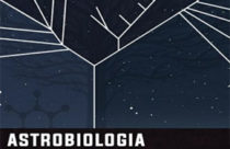 à Luz Das Estrelas Lilia Irmeli Pdf Grátis Baixe Livros