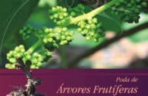 Morfologia e Anatomia Vegetal - Vários Autores PDF Grátis | Baixe Livros